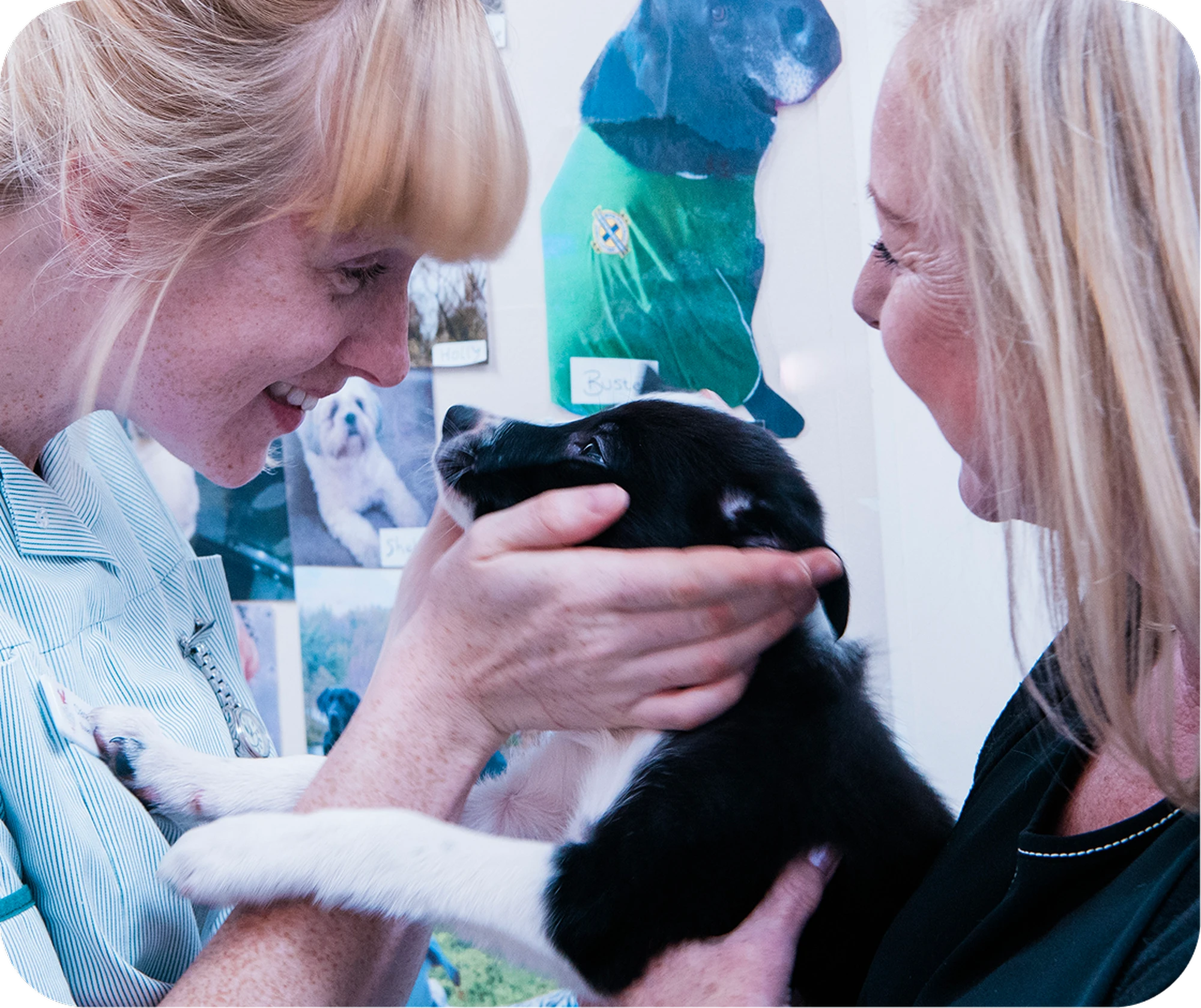 Services - Village Veterinary Services